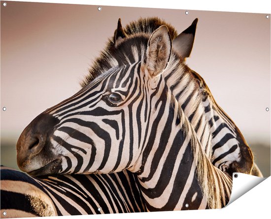 Gards Tuinposter Twee Knuffelende Zebra's - 150x100 cm - Tuindoek ...