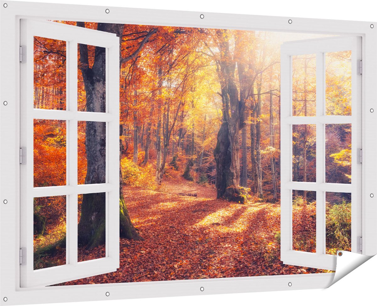 Affiche de jardin Gards transparente Forêt d'automne Oranje avec soleil ...