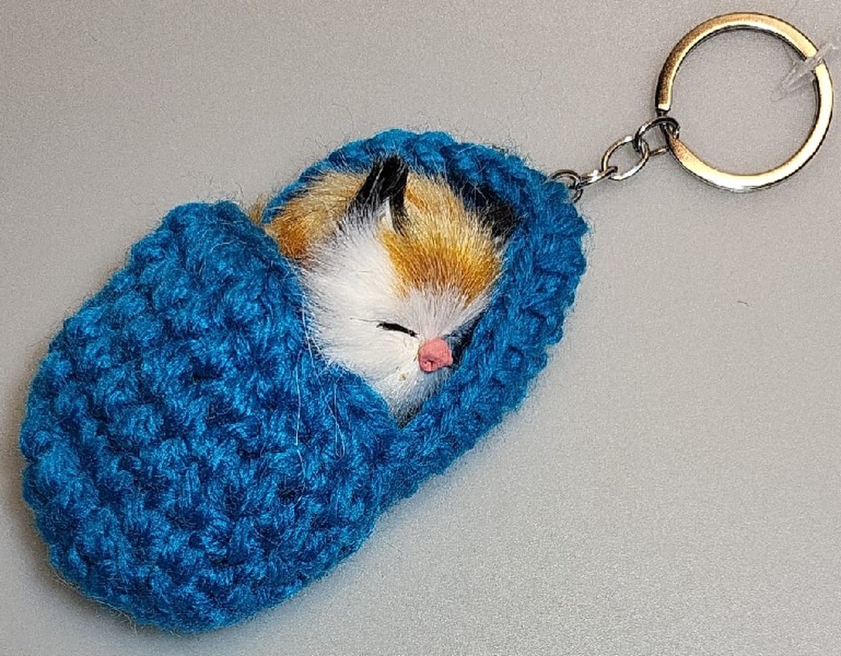 Een schattige en lief poesje (10cm x 5cm) slapend in een pantoffel. Een ...