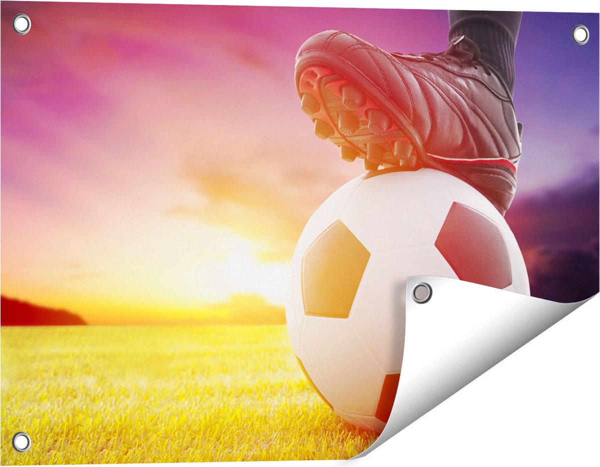 Gars Affiche de jardin Plage Tropicale Transparente à la Mer Bleue ...