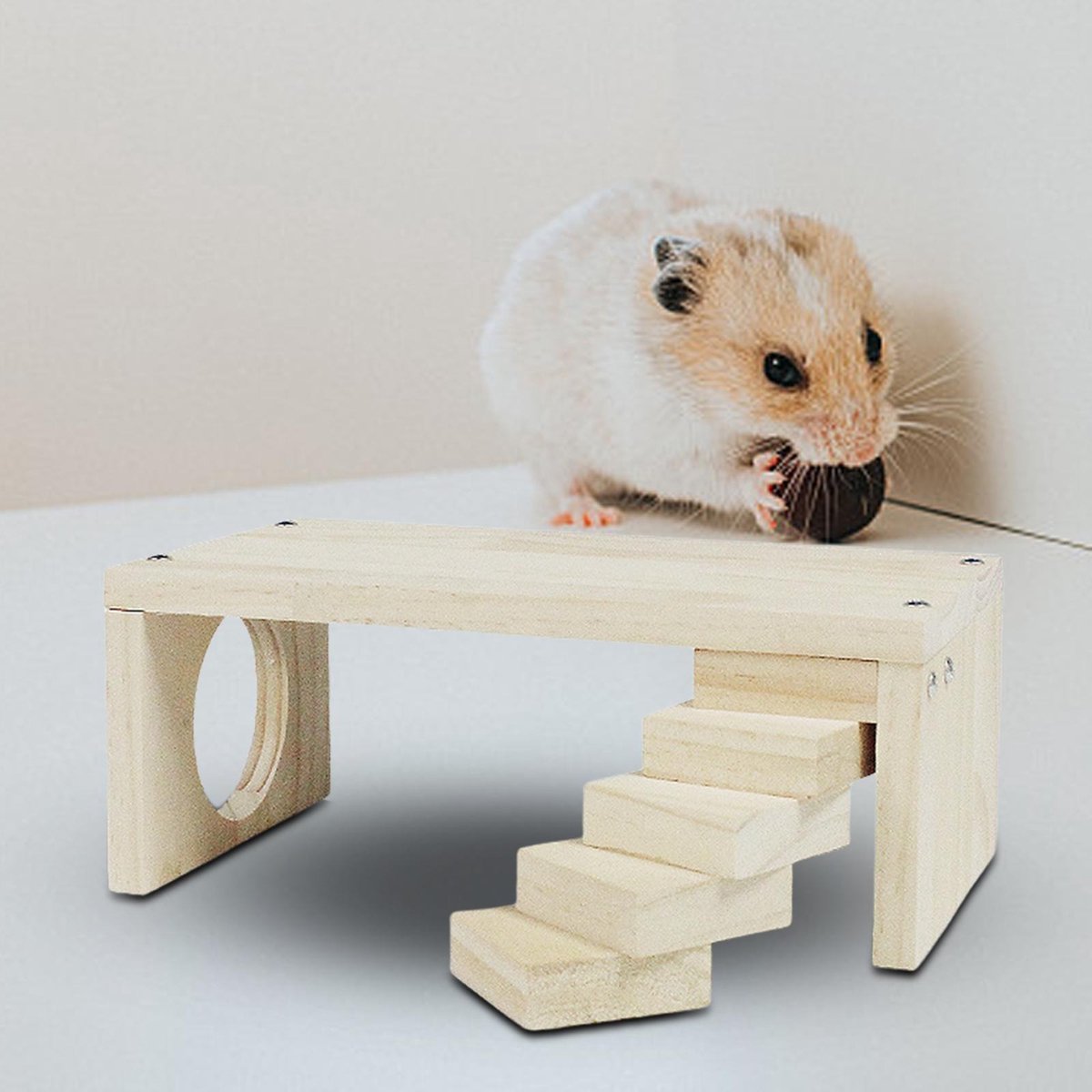 Houten Hamster Platform Trap Voor Kooi Landschapsarchitectuur Kleine ...