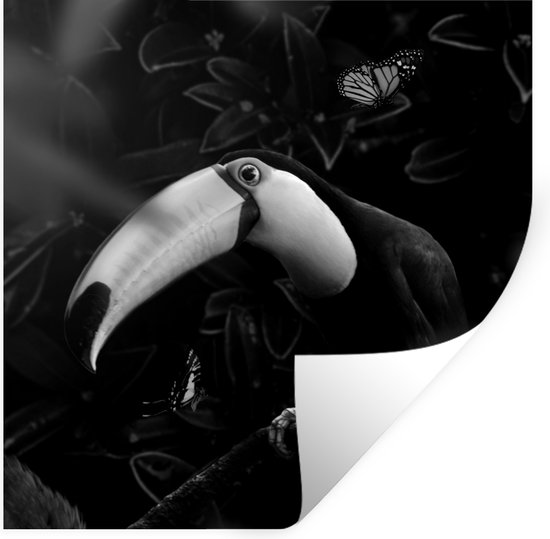 Muurstickers - Sticker Folie - Toekan omringd met vlinders in de jungle - zwart wit -... | bol