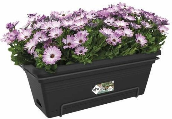 Elho Green Basics Balkonbak Xl Allin1 55 - Plantenbak voor Balkon ...