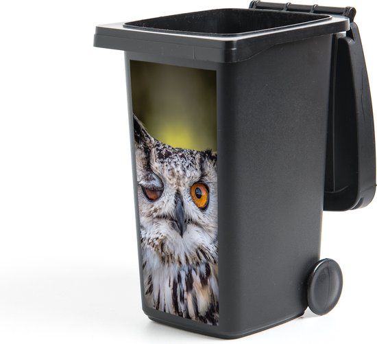 Container sticker Uil - Oog - Oranje - 38x80 cm - Kliko sticker | bol