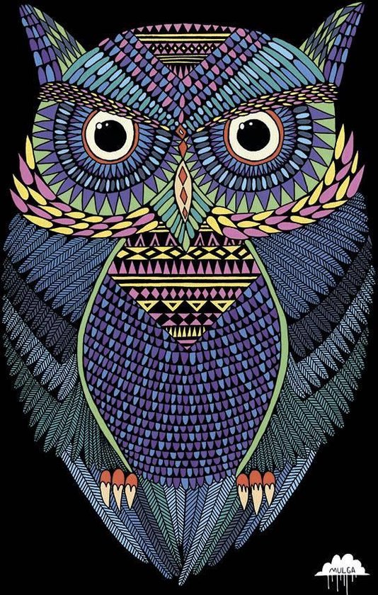 REINDERS Mulga Michael de magische uil - Poster - 61x91,5cm | bol