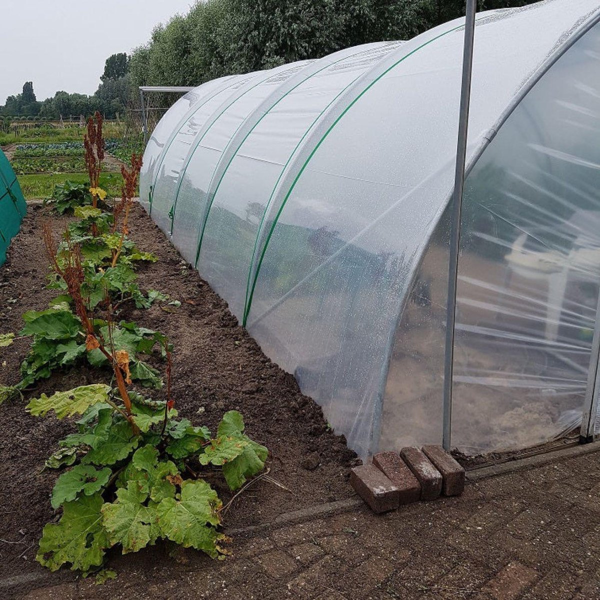 KWEEK - Folietunnel 440 cm breed en 18 meter lang | bol.com