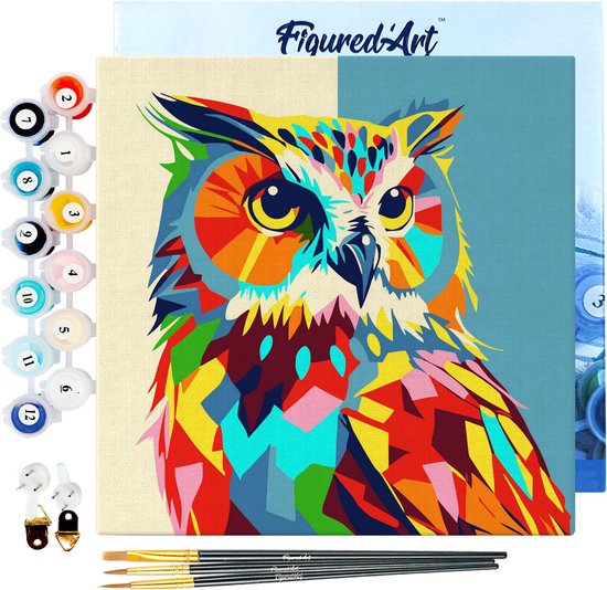 Figured'Art Mini Schilderen op Nummer Volwassenen 20x20cm met lijst Uil ...