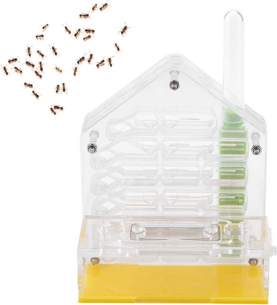 Mierenboerderij - Ant Farm - Mierennest - Mierenhuis - Mierenhotel - Mierenkolonie -... | bol