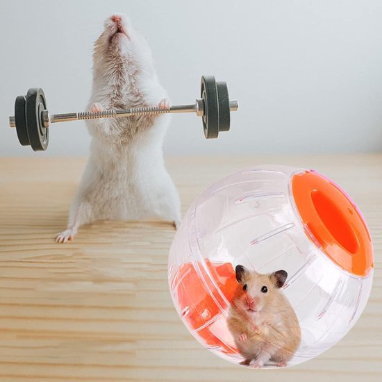 Kleine dieren loopbal hamsterbal - hamsterspeelgoed voor dwerghamsters - 47 inch mini... | bol