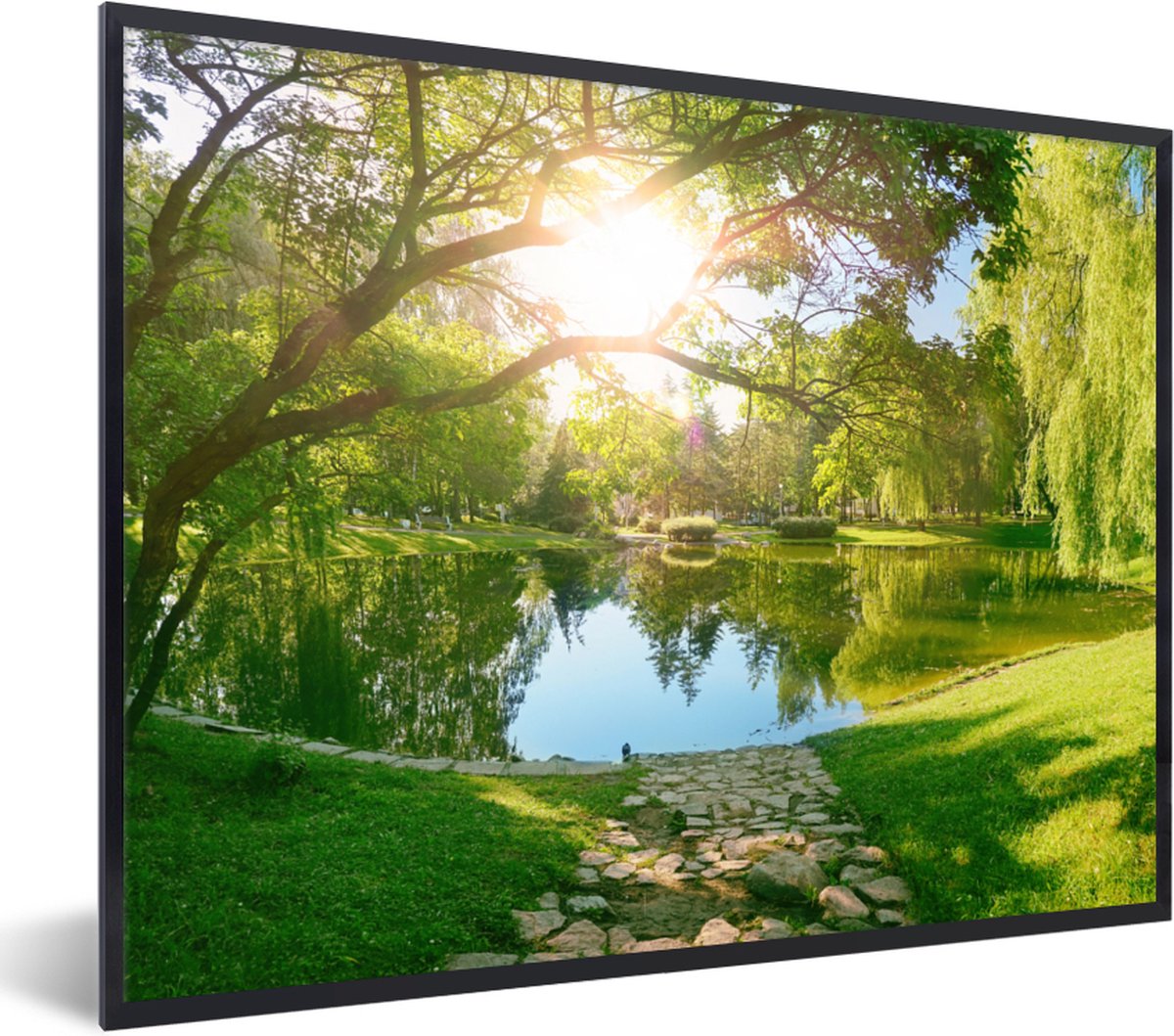 PosterMonkey - Poster - Fotolijst - Zon - Gras - Natuur - Park - Boom ...