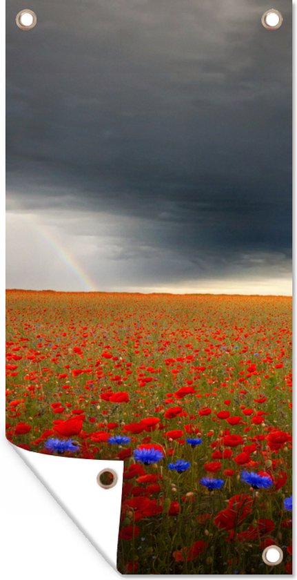 Poster de jardin Fleurs - Rouge - Grijs - 30x60 cm - Toile de jardin ...