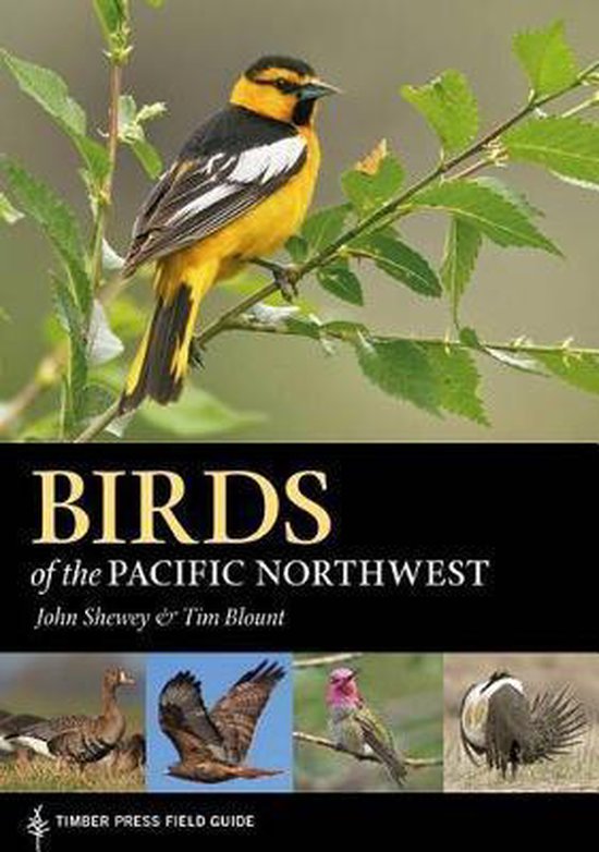 Birds of the Pacific Northwest, John Shewey | 9781604696653 | Boeken ...