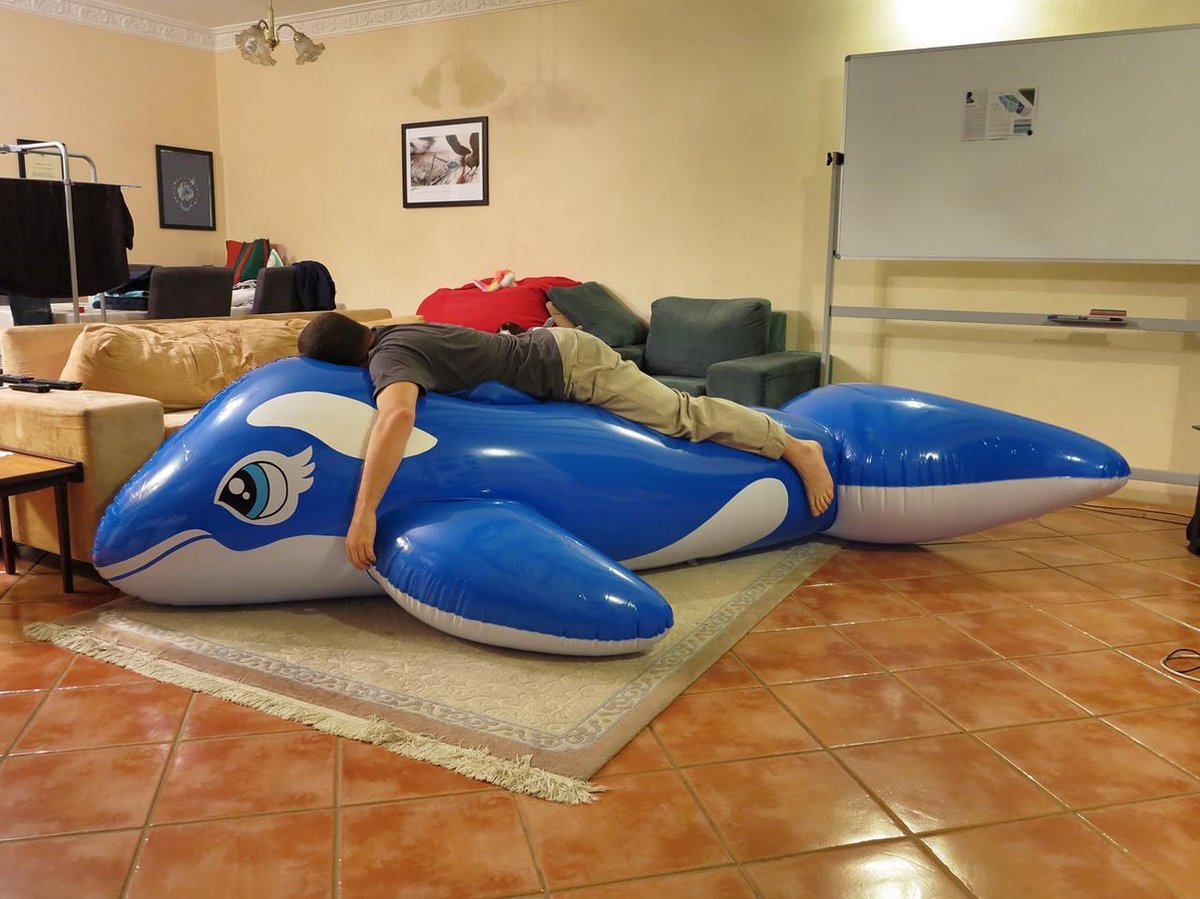Grote opblaasbare Walvis Wit /Blauw 3.2 meter lang | bol.com