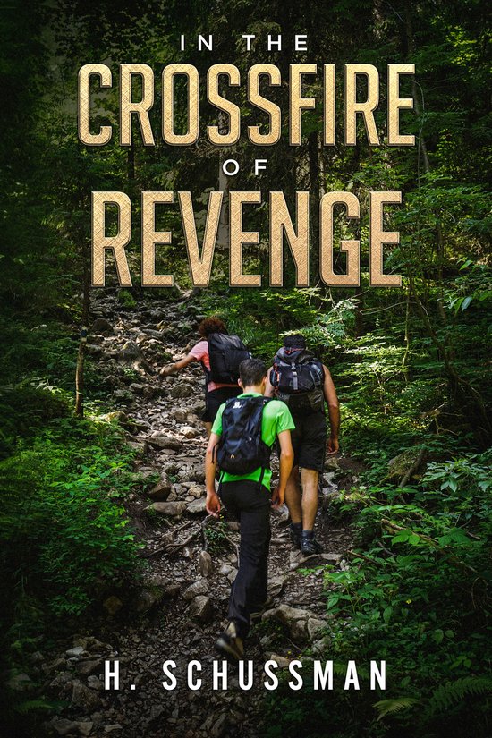 McGee Crime Series - In the Crossfire of Revenge (ebook), H Schussman ...