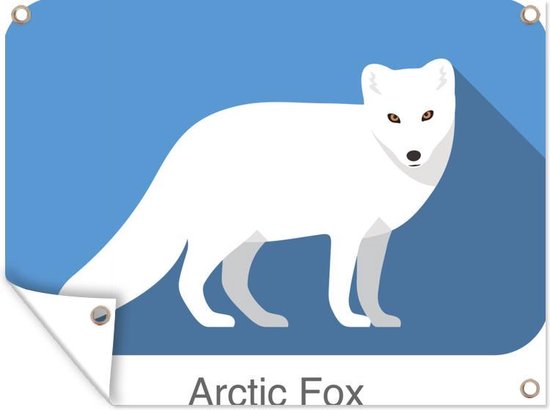 Muurdecoratie buiten tekening van een poolvos blauwe achtergrond ...