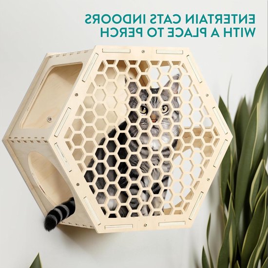 Kattenklimwand met Hexagon kattenmand en kattenplanken - Triplex hout | bol