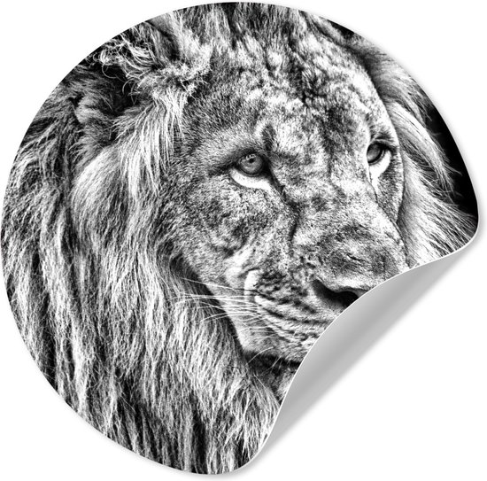 WallCircle® - Behangcirkel 80x80 cm - Muurstickers Portret - Leeuw - Zwart wit -... | bol