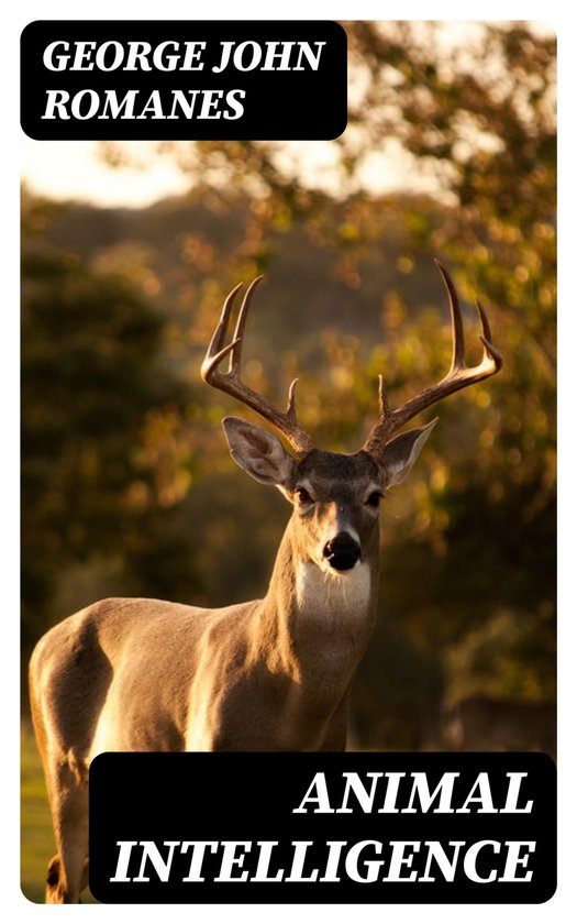 Animal Intelligence (ebook), George John Romanes | 8596547129233 ...