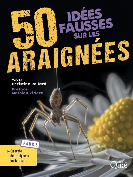 Idées fausses - 50 idées fausses sur les araignées (ebook), Christine ...