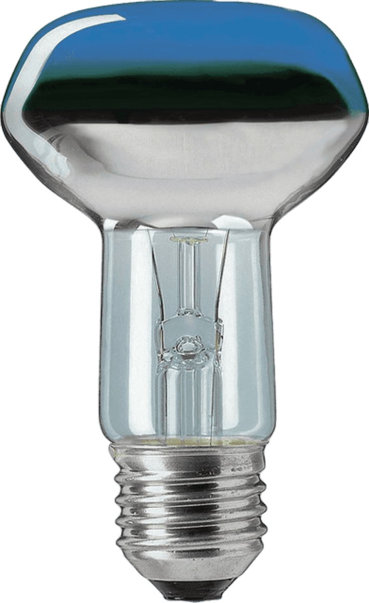 Philips Blue Spot R63 Gloeilamp E27 - 40W - Blauw Licht - Dimbaar | bol.com