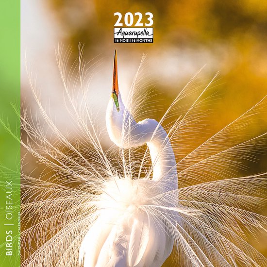 Birds Kalender 2023 | bol.com