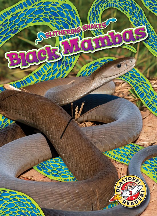 Slithering Snakes - Black Mambas (ebook), Joanne Mattern | 9781644878804 | Livres | bol