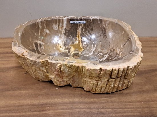 Waskom van versteend hout - 55x40x15cm - FL22792 | bol