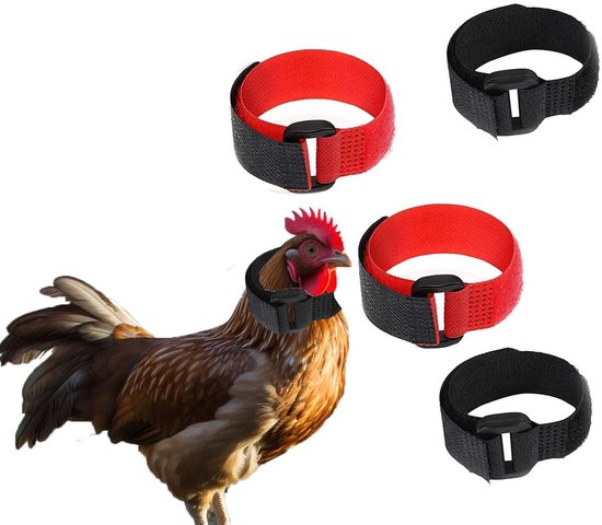 4 x Chicken Collar - No-Crow Chicken Collar - Collier de poule nylon ...