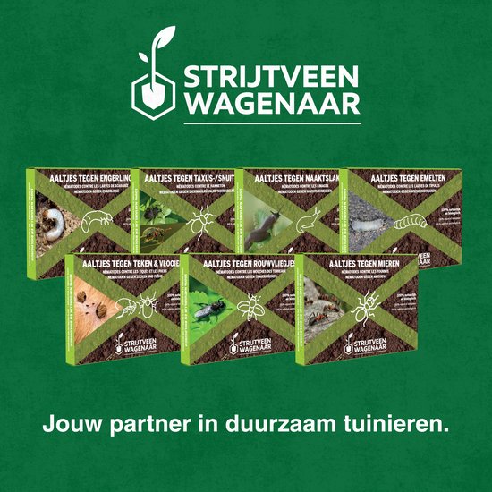 Aaltjes tegen Emelten 50m² - Steinernema Carpocapsae - Biologische ...