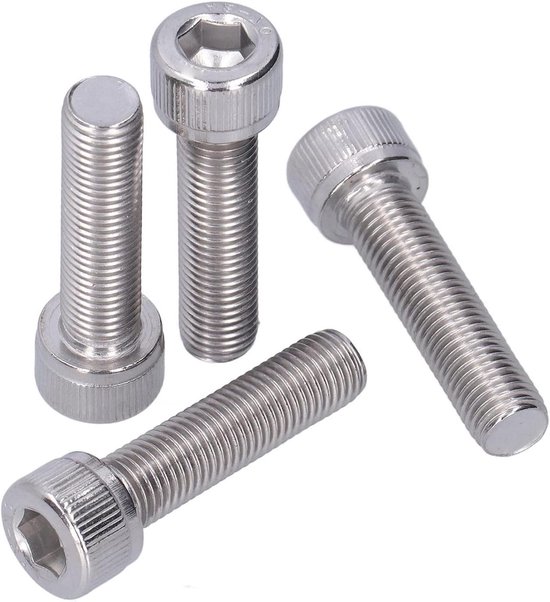 Allecto plus - 4 stuks M10 Hex Bolt met Fijne Pitch 1.25mm - RVS ...