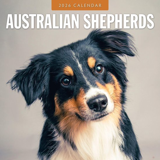 Australian Shepherd Kalender 2026 | bol