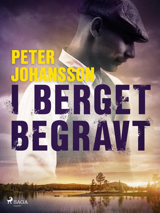 I berget begravt (ebook), Peter Johansson | 9788728367667 | Boeken ...