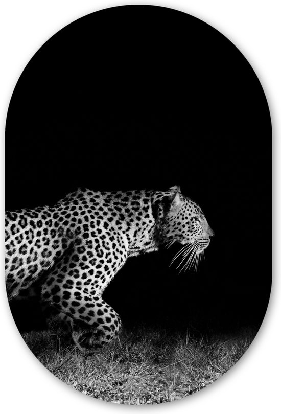 Wall Oval - Décoration murale Plastique - Tableau Ovale - Animaux ...