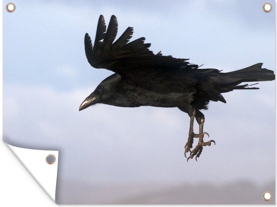 Muurdecoratie buiten Een zwarte raaf vliegt over het strand - 160x120 ...