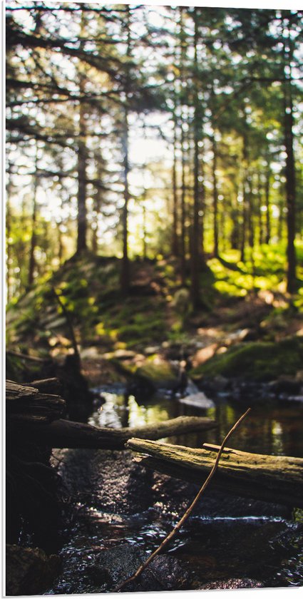 WallClassics - PVC Schuimplaat - Takken vallend over Riviertje in het ...