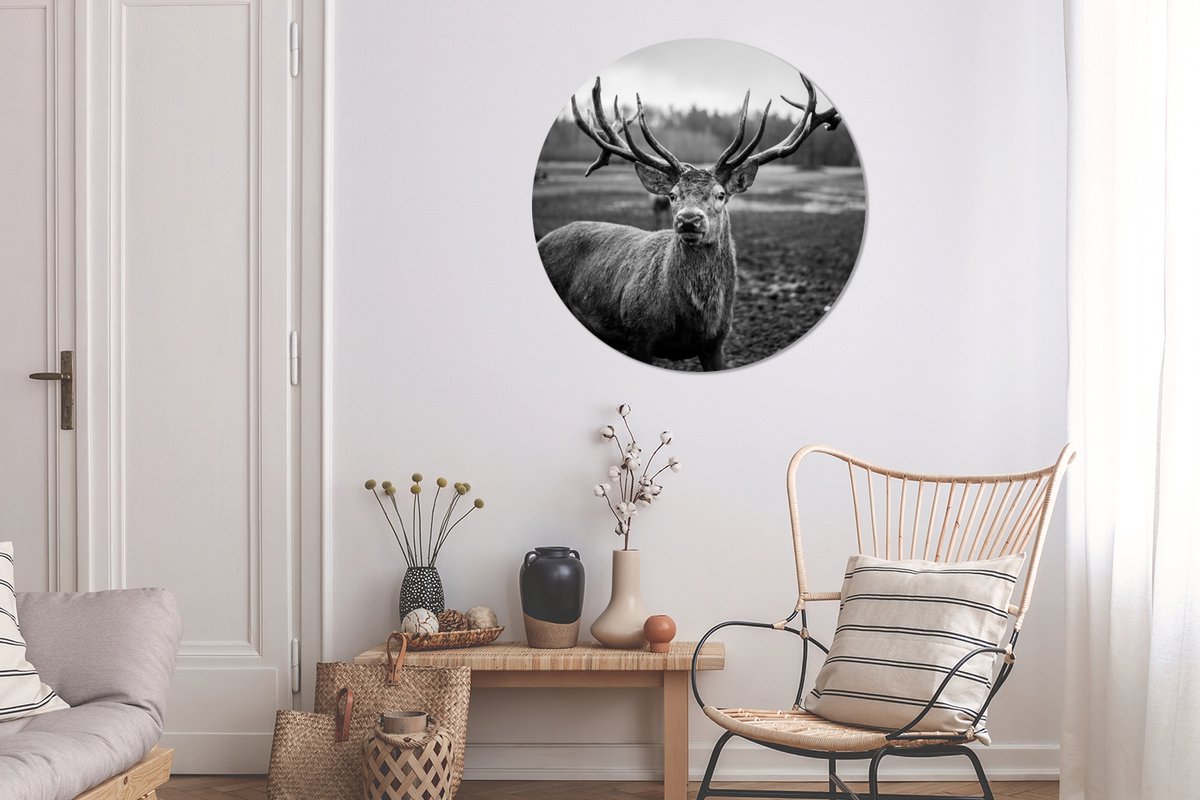 Behangcirkel - Zelfklevend behang - Dieren - Hert - Gewei - Bos ...