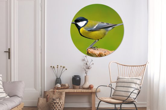 Behangcirkel - Vogel - Koolmees - Groen - Dieren - Zelfklevend behang ...
