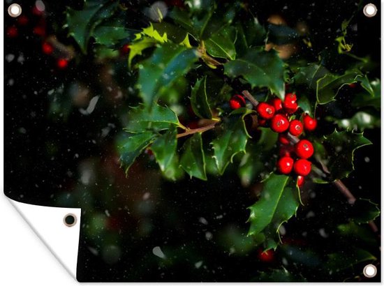 Muurdecoratie buiten Een kleurrijk beeld van rode bessen en hulst ...