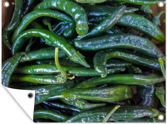 Muurdecoratie buiten Vers geplukte Pasilla pepers - 160x120 cm ...