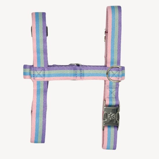 Rainbow - Harnais pour chien - M | bol