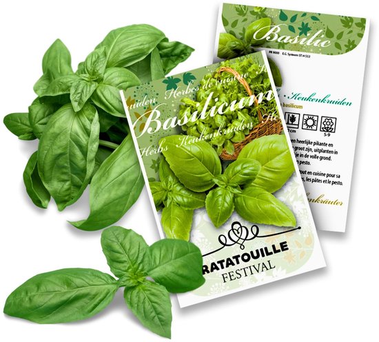 Basilicum (Ocimum) - Keukenkruiden zakjes persoonlijk bedrukt 10.000 ...