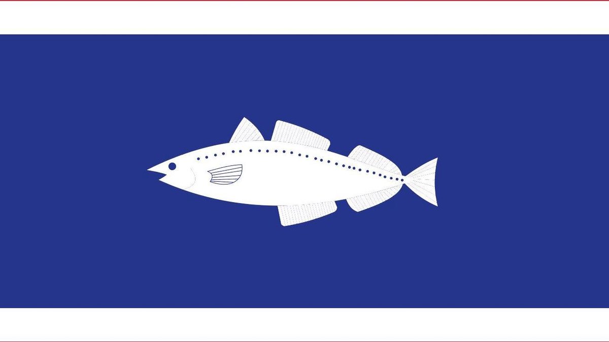 Vlag Urk 30x45cm | bol.com