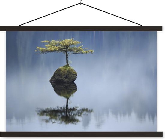 Bonsai boom groeit op een kleine rots voor een grote waterval Het water ...