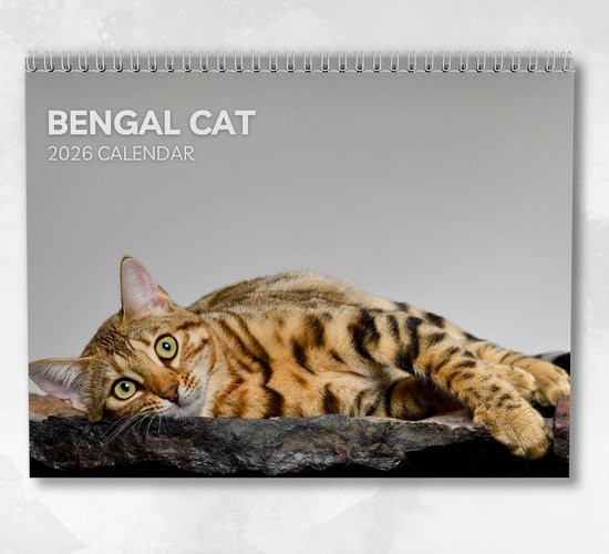 Wandkalender 2026 A4 - Maandkalender met Notities, Feestdagen en ...