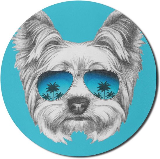 Kleurrijke Muismatten voor Computer - Antislip en Ondersteunend | bol