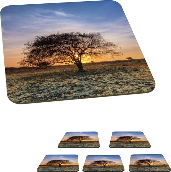 Onderzetters voor glazen - Boom - Zon - Indonesië - 10x10 cm - 6 stuks ...