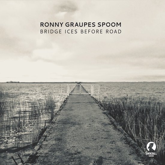 Ronny Graupe's Spoom - Bridge Ices Before Road (CD), Ronny Graupe'S ...