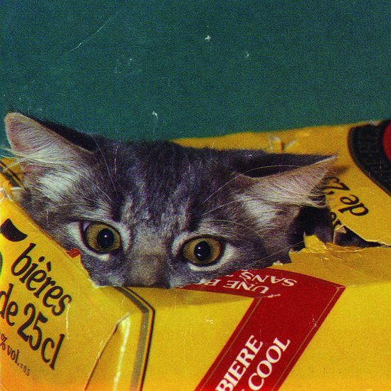 The Fairweather Band - Meow (CD), The Fairweather Band | CD (album ...