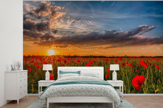 Behang - Fotobehang Klaprozen - Bloemen - Zon - Breedte 545 cm x hoogte ...