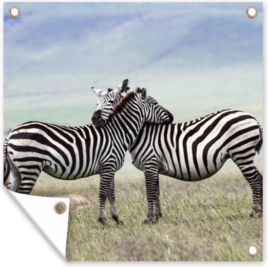 Tuin poster Zebra - Knuffel - Savanne - 200x200 cm - Tuindoek ...